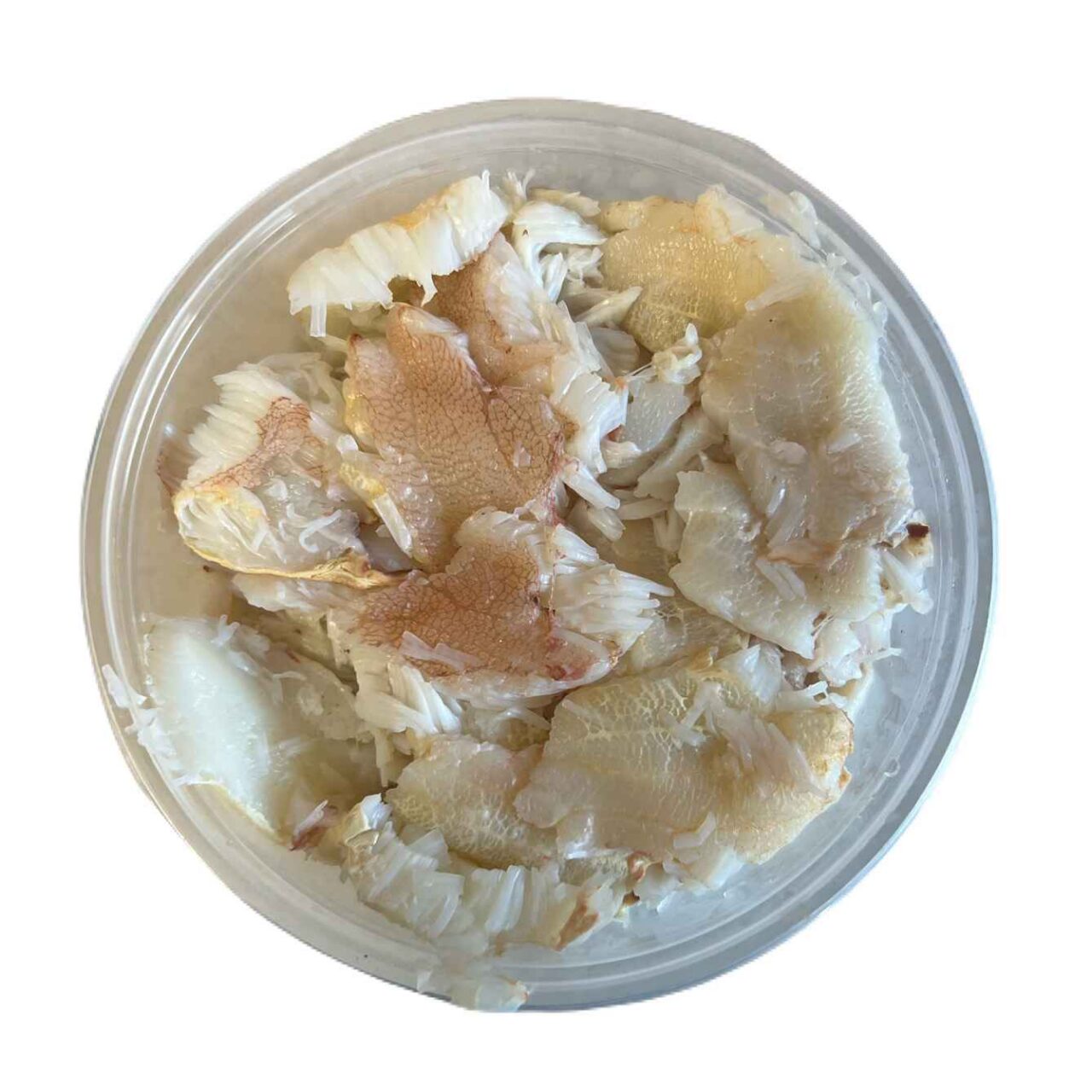 1# Frozen Maine Crabmeat (2x 8oz containers) - Graffam Bros Seafood